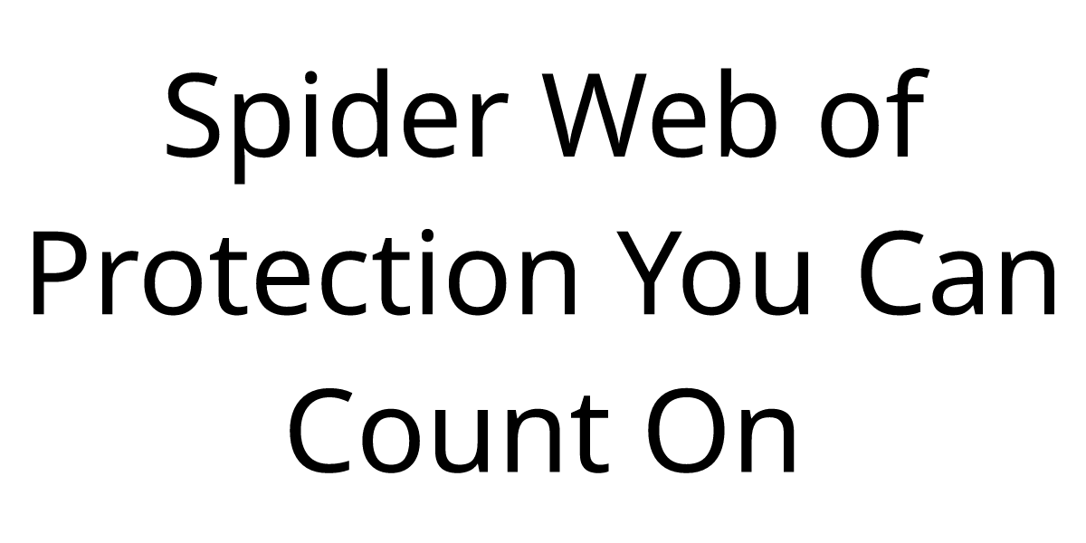 Spider Web of Protection You Can Count On | STI Global (Americas)